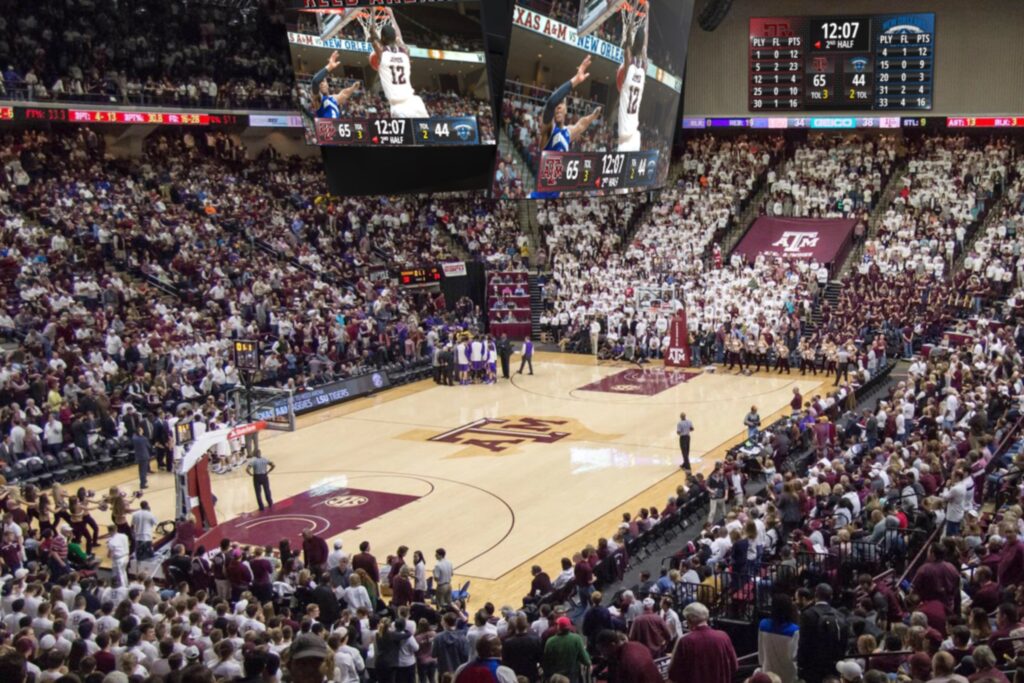 About | Horizon Performance